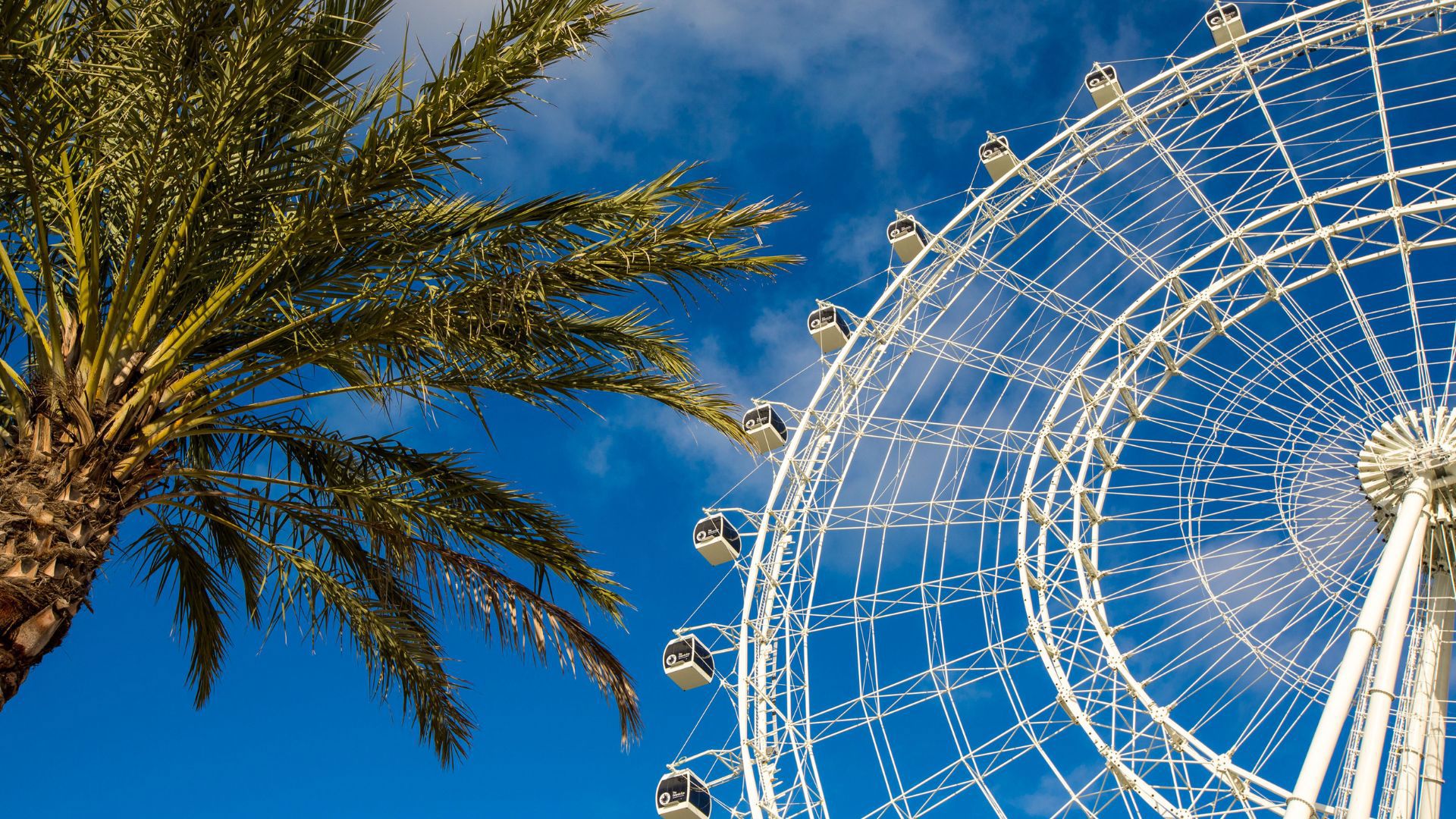Plan Your Day | The Orlando Eye